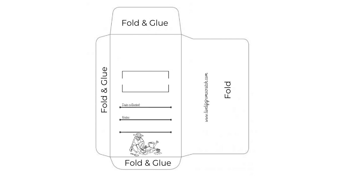 Free printable seed packets and how to save seeds - Live Life from Scratch